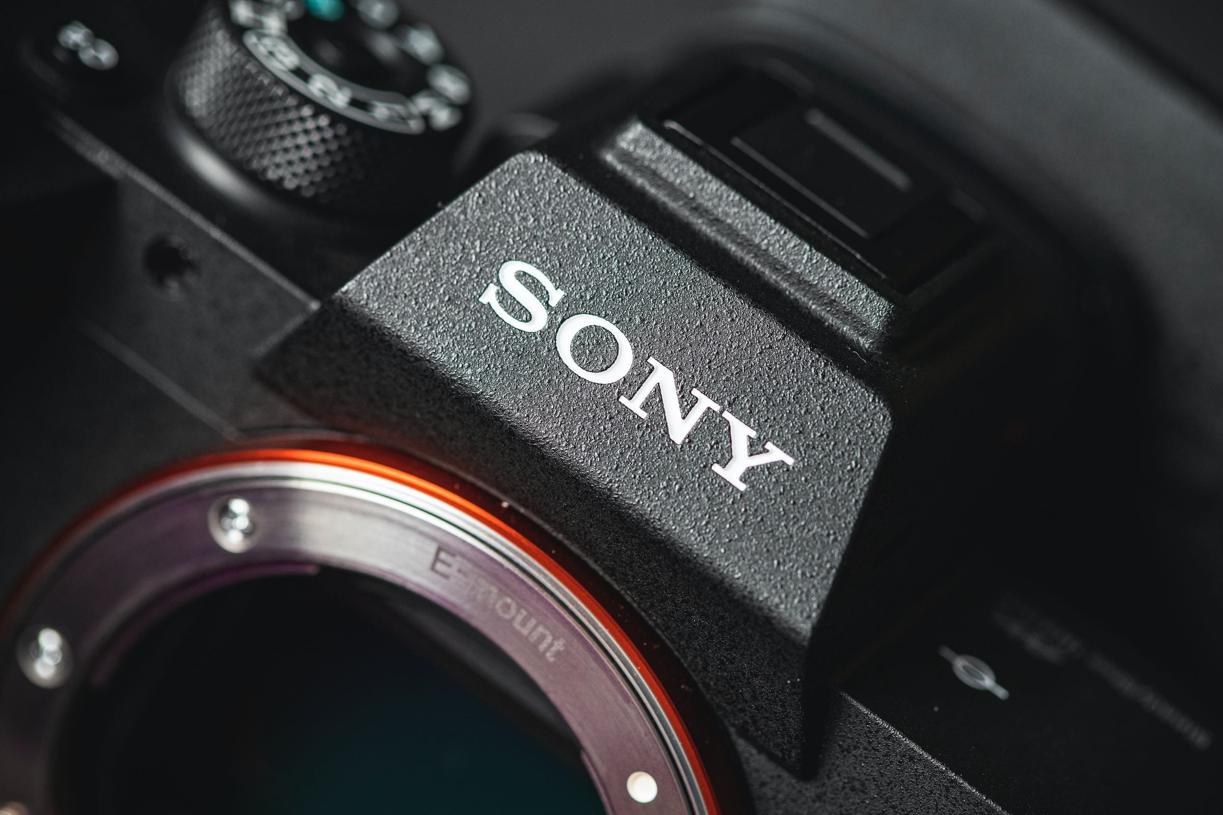 Dein ultimativer Leitfaden zu Sony Alpha 6000 Objektiven (E-Mount)